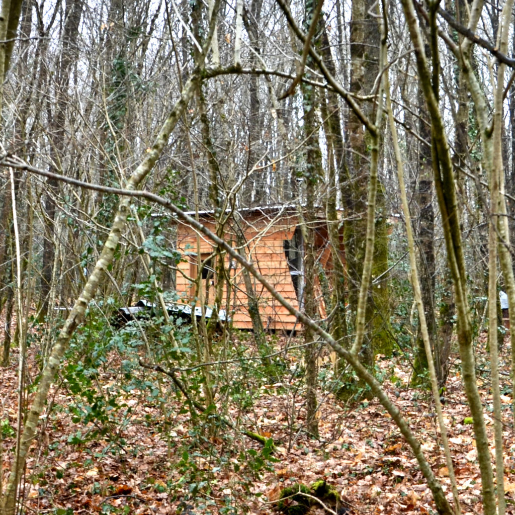 CaBoche – Les Frères Poulet